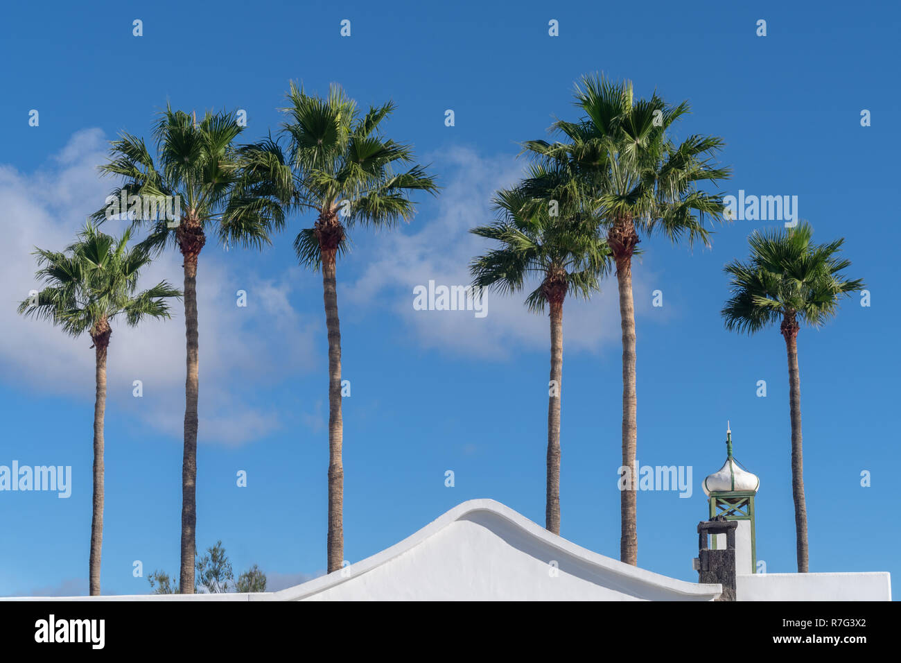 Landscape canary island date hi-res stock photography and images - Alamy