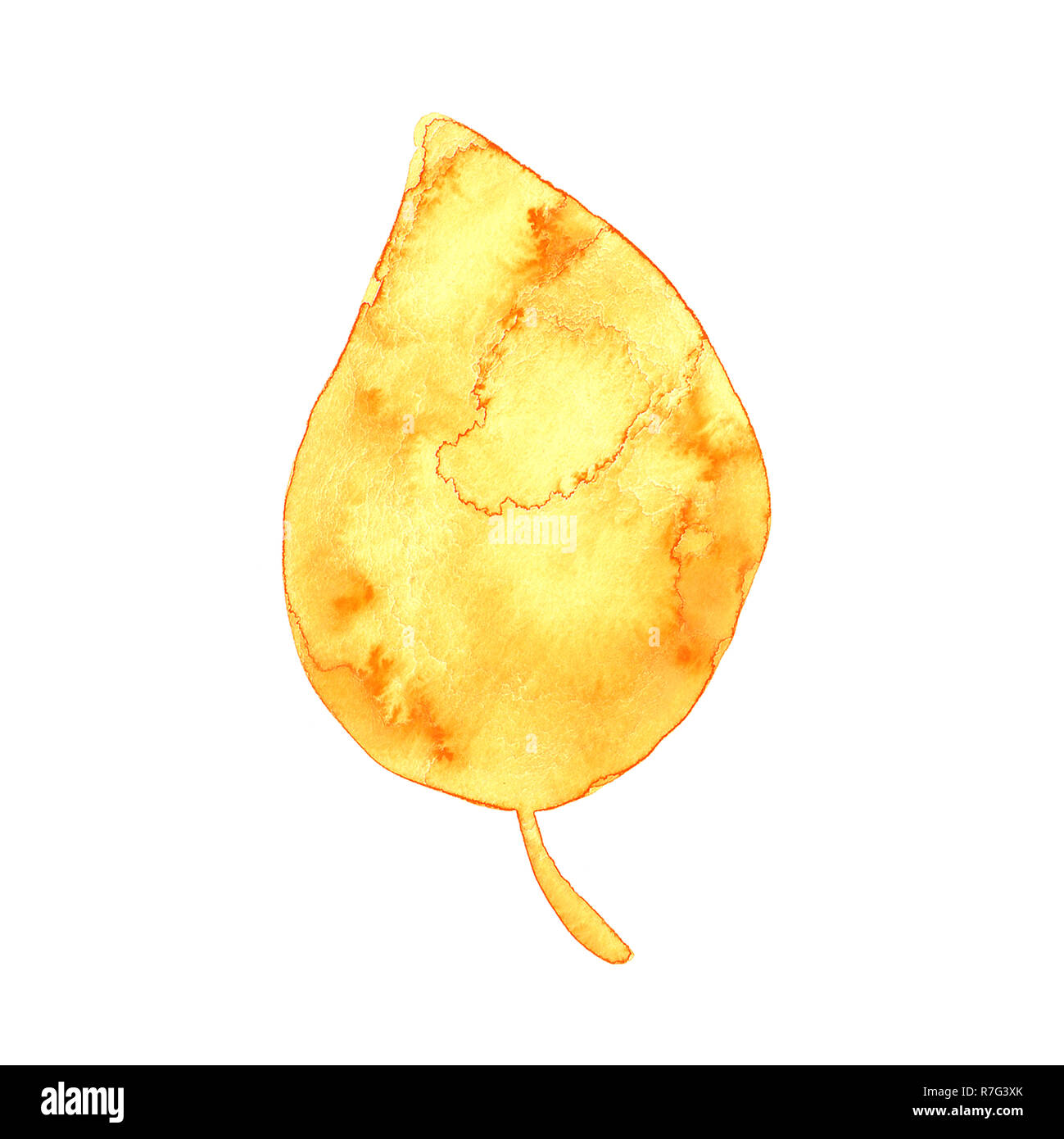 Hand drawn watercolor bright orange autumn leaf isolated on white Stock ...