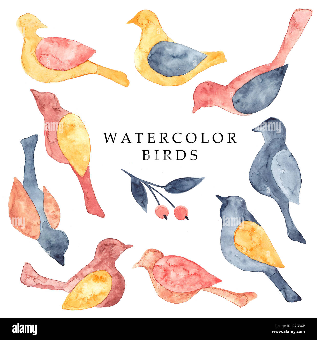 Hand drawn watercolor bird hi-res stock photography and images - Alamy