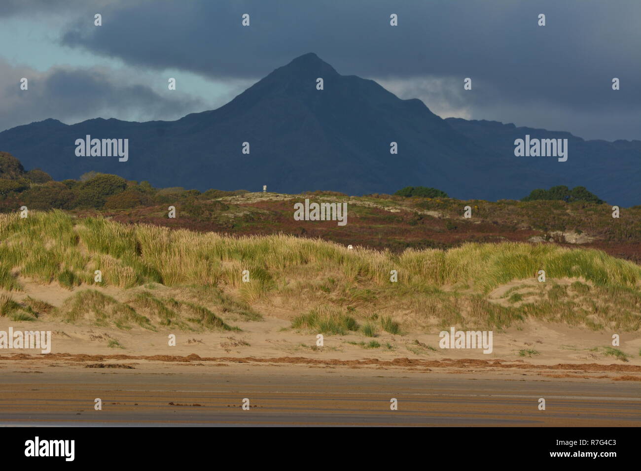 Cnicht Mountain Silhouette Behind Dunes Stock Photo - Alamy