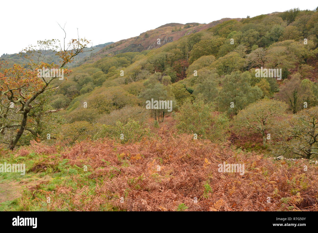 Maentwrog hi-res stock photography and images - Alamy