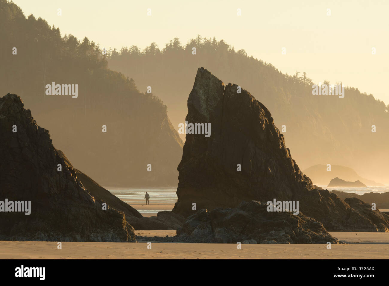 Hiking on beach at sunset, Oregon Coast Stock Photo - Alamy