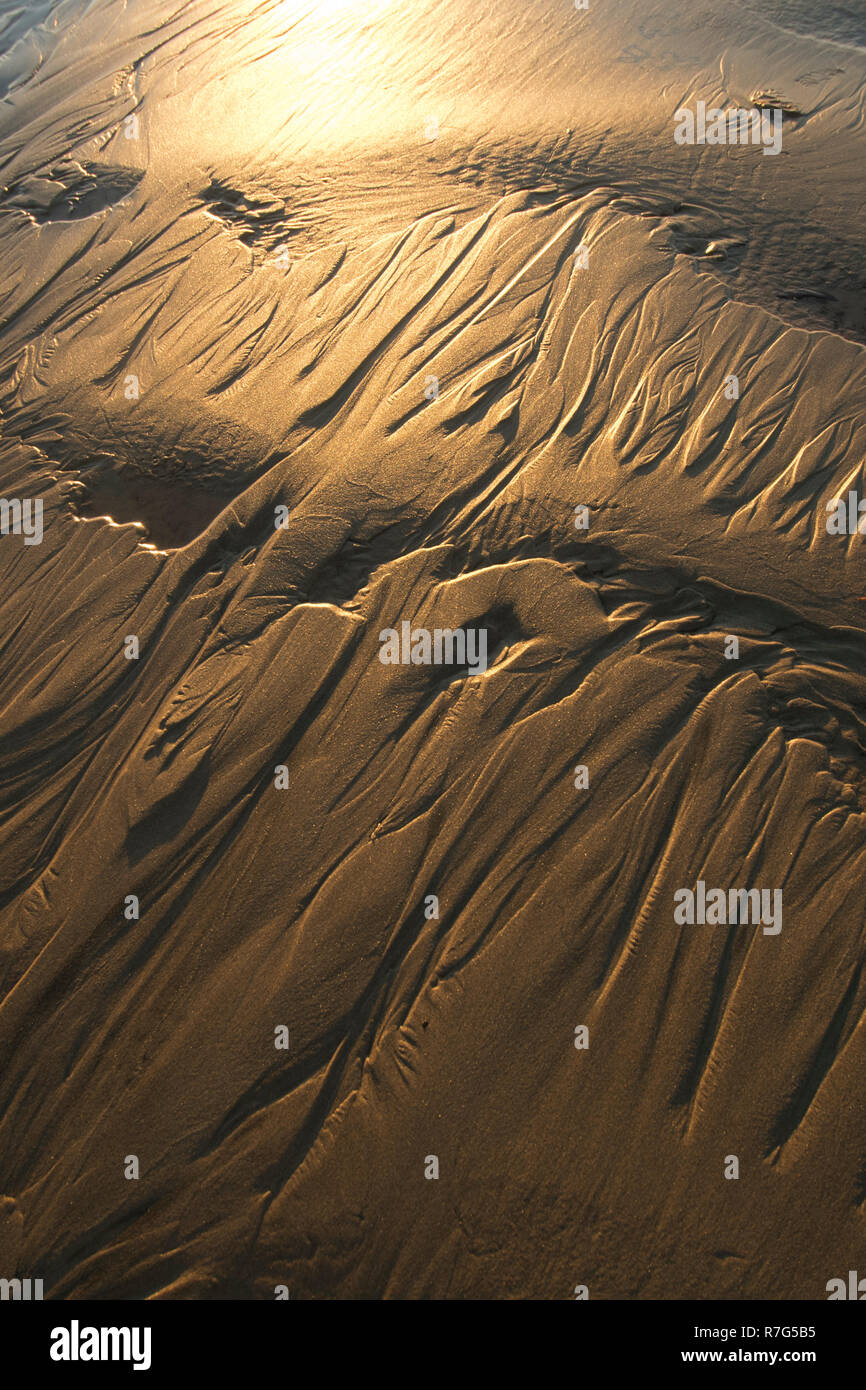 Sand patterns at sunset, Oregon Coast, Oregon USA Stock Photo - Alamy