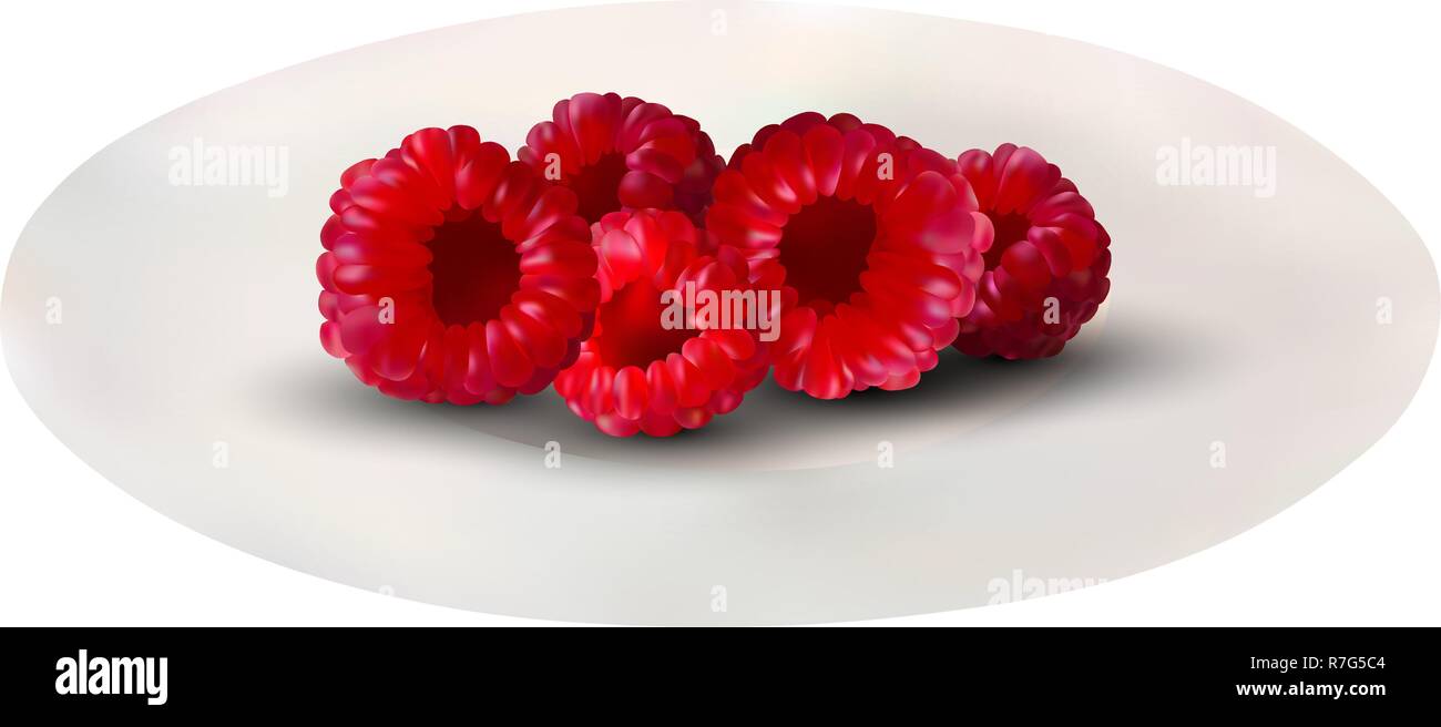 Set of realistic raspberries.Vector illustration, fruit in a plate ...