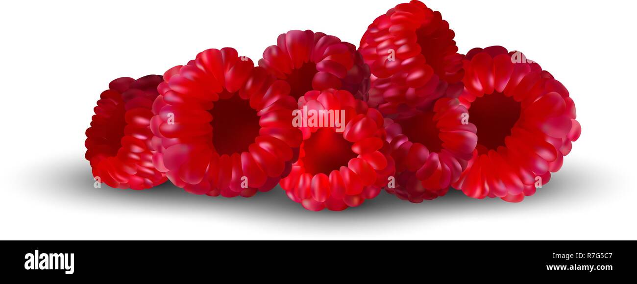 Set of realistic raspberries isolated against a white background ...