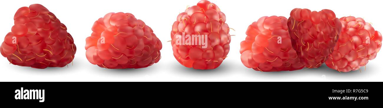 Set of realistic raspberries isolated against a white background ...