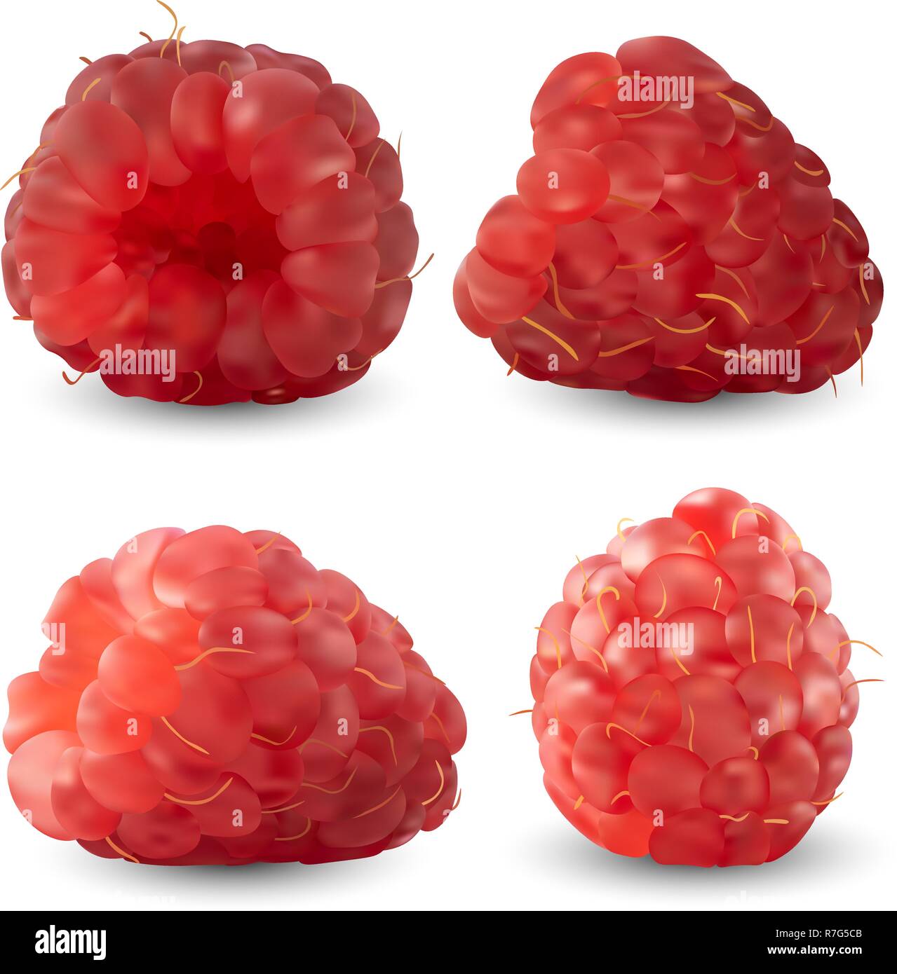 Set of realistic raspberries from different angles isolated against a ...