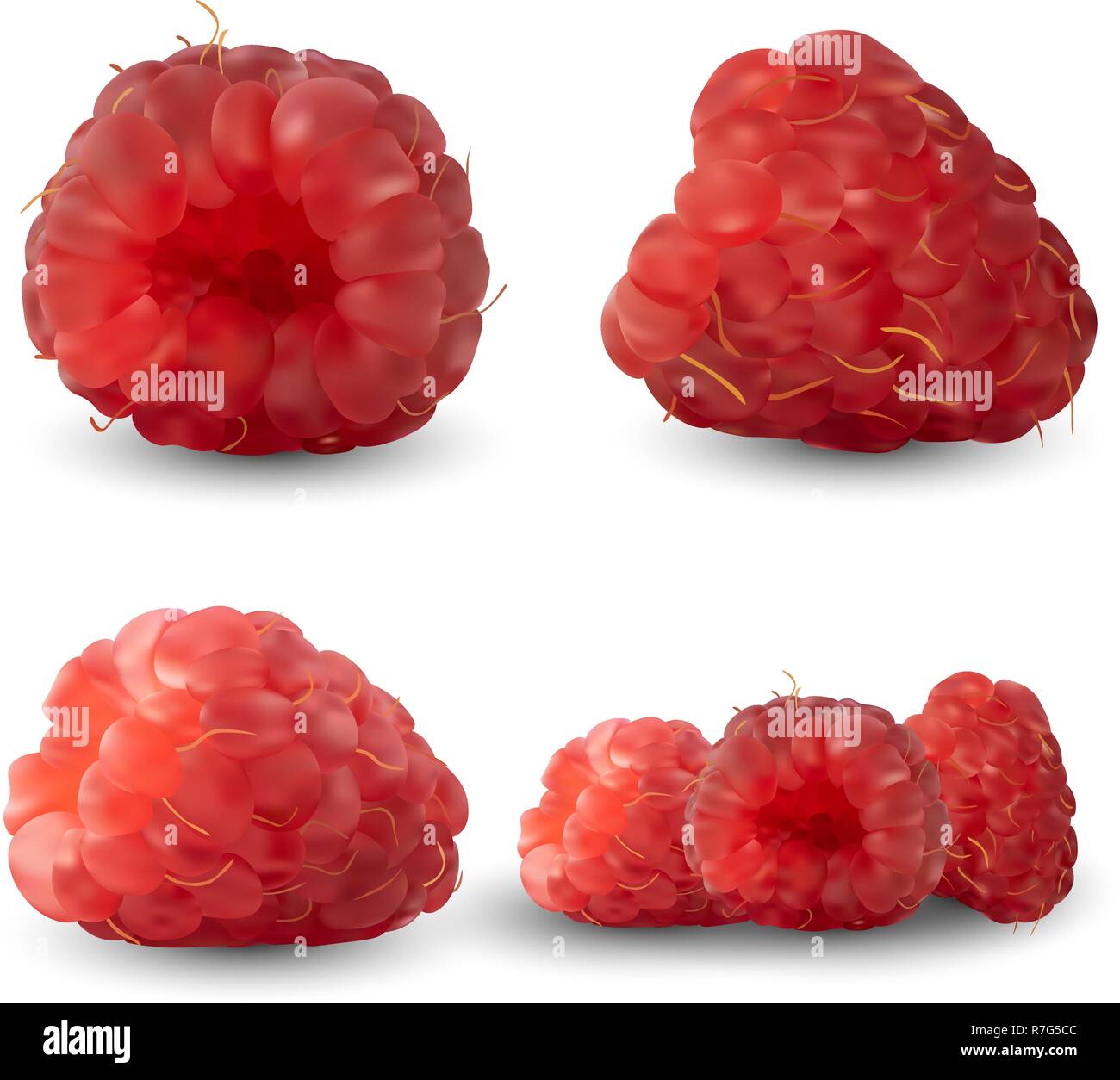 Set of realistic raspberries from different angles isolated against a ...