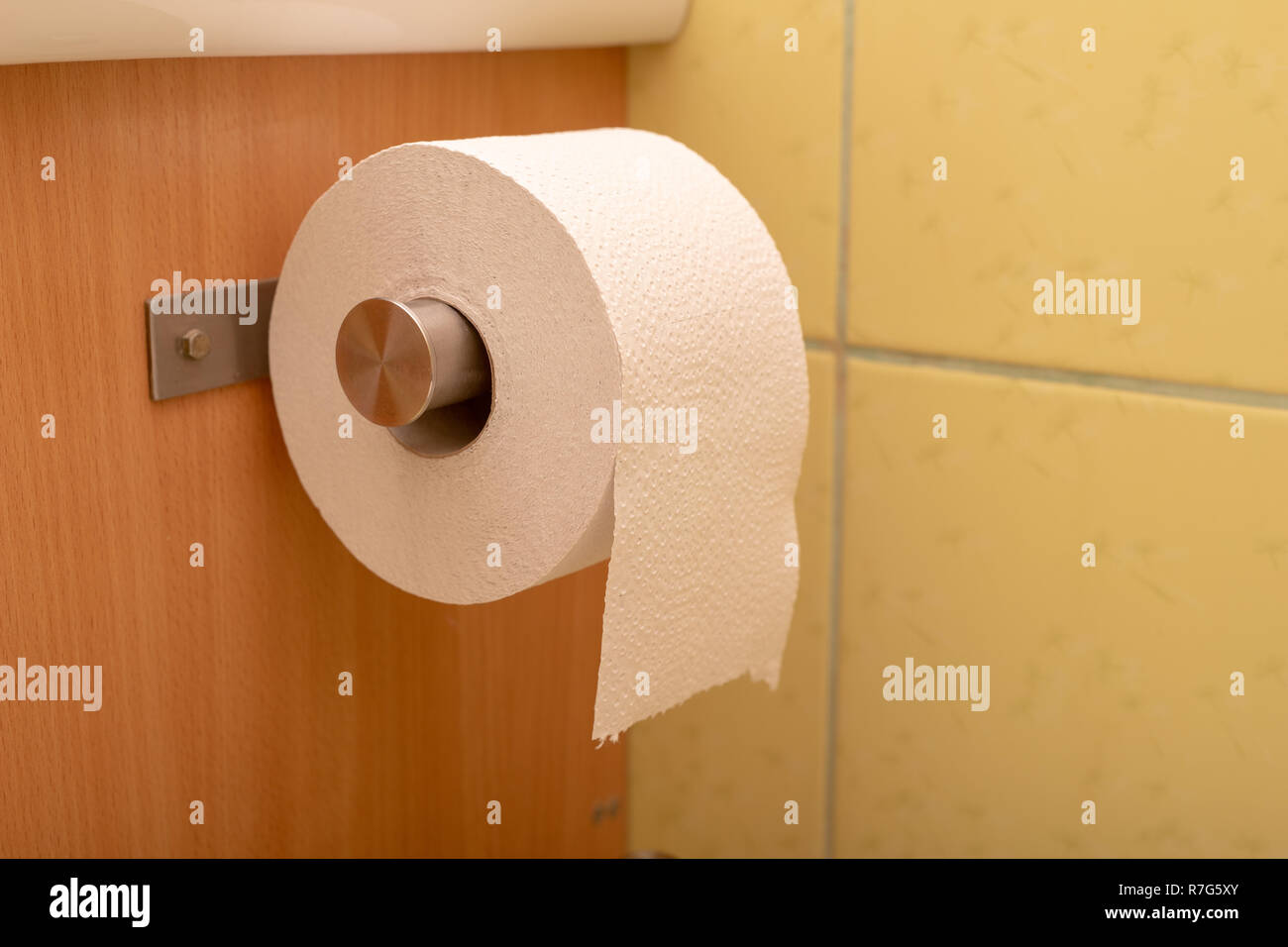 Toilet paper rolled up on a roll in the toilet. Personal hygiene ...