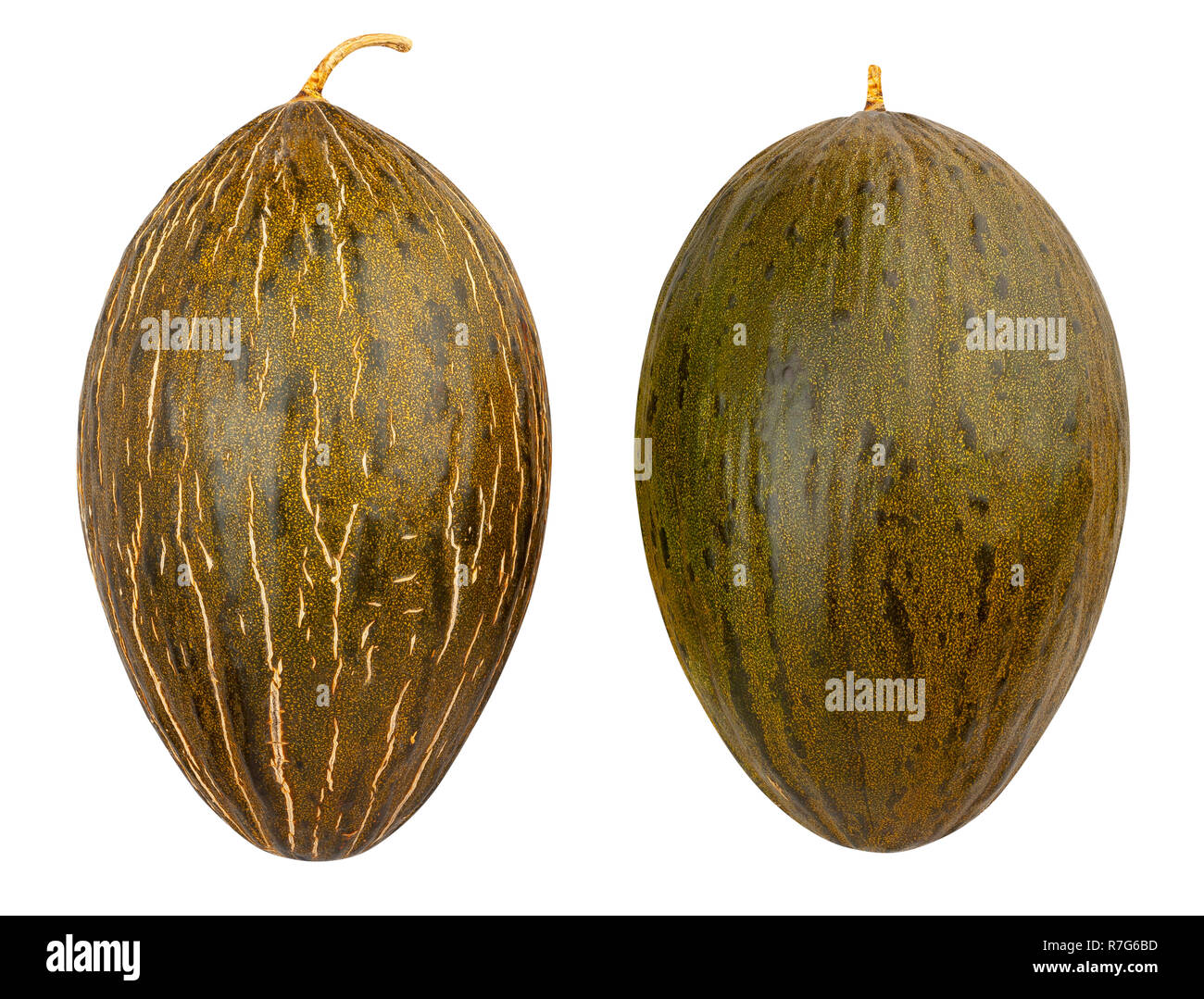 Melon piel de sapo hi-res stock photography and images - Alamy