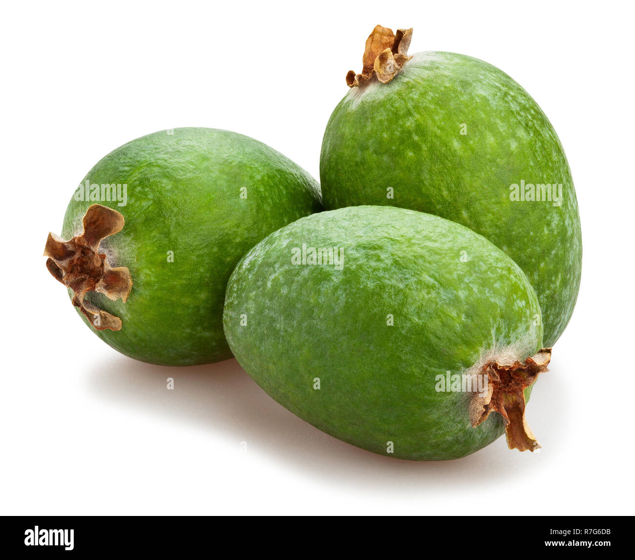 Feijoa fruit hi-res stock photography and images - Alamy