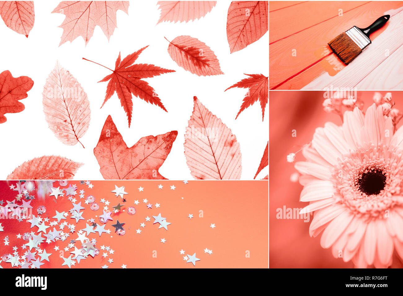 Creative collage in Living Coral color Stock Photo - Alamy