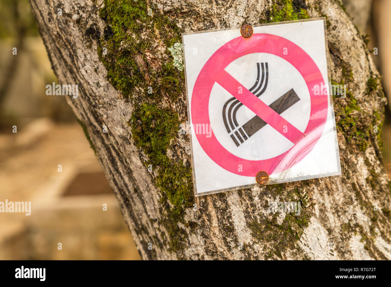 No smoking signboard on tree Stock Photo - Alamy