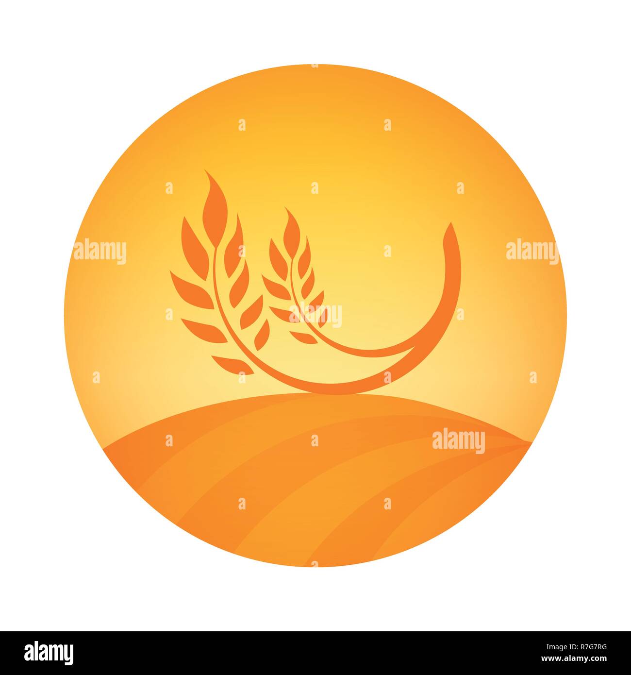 Wheat grain emblem vector hi-res stock photography and images - Alamy