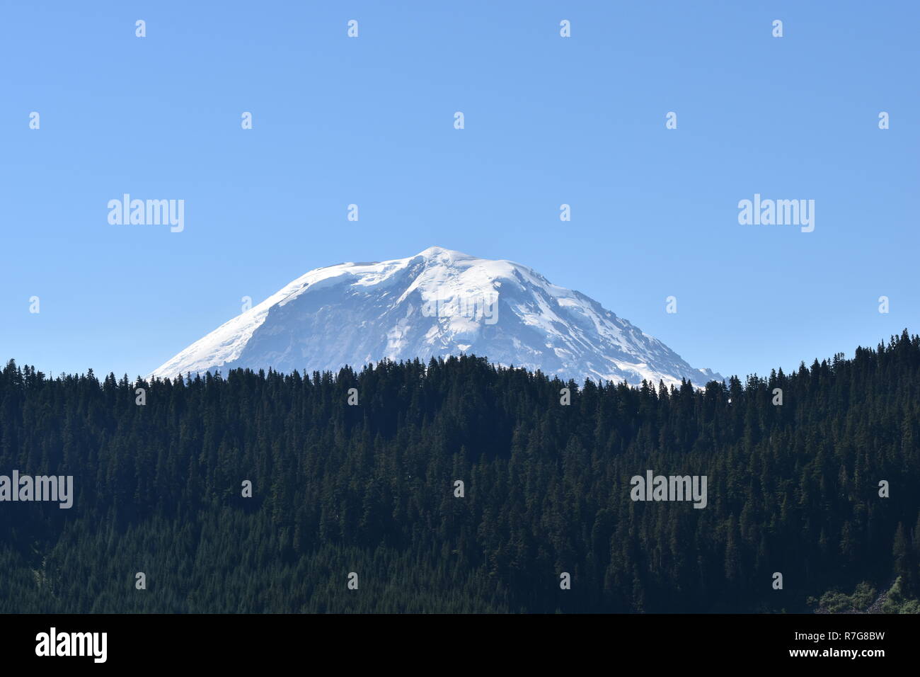 Scenic view of Mt. Rainer from Bearhead Trail in Carbonado, Washington ...