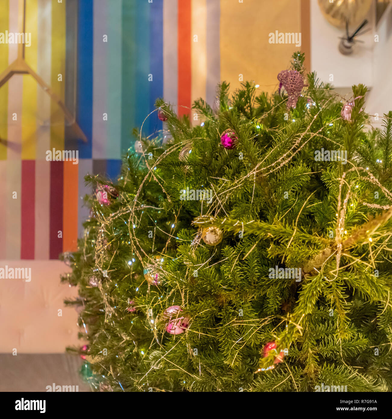 Real christmas tree indoors fir hi-res stock photography and images - Alamy