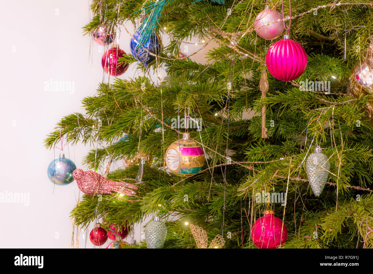 Real fir tree green hi-res stock photography and images - Alamy