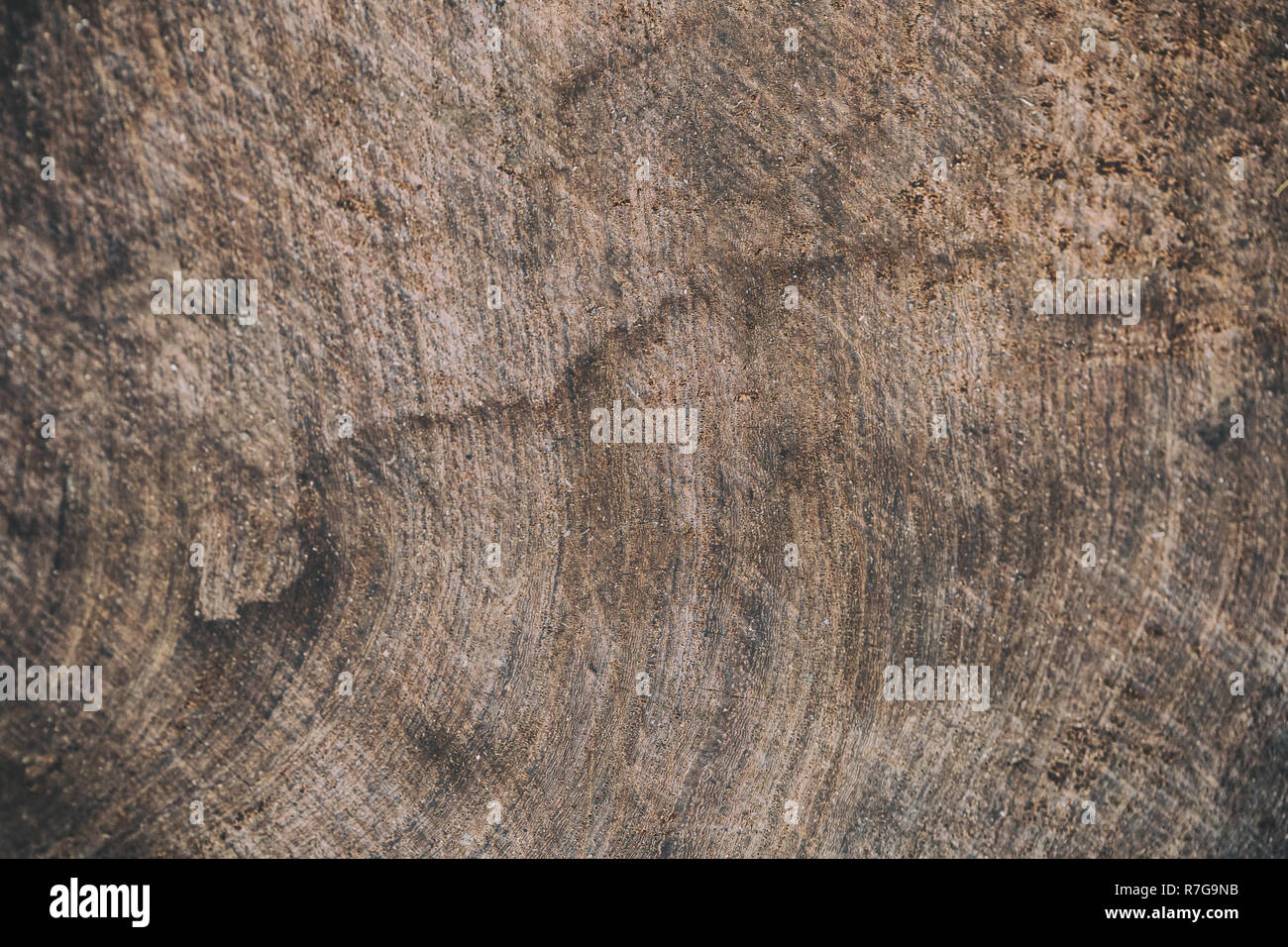 Close up rustic wood table with grain texture in vintage style. Surface ...