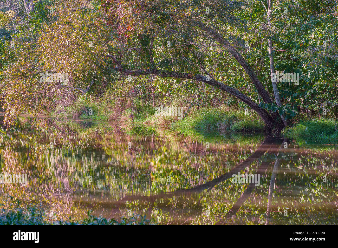 Swains lock hi-res stock photography and images - Alamy