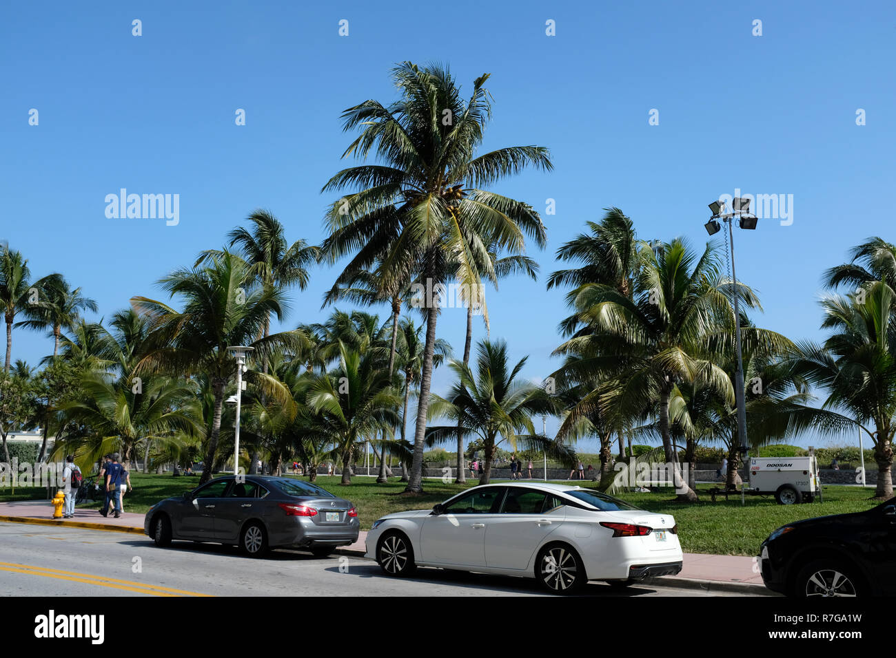 Florida palm trees and cars hi-res stock photography and images - Alamy