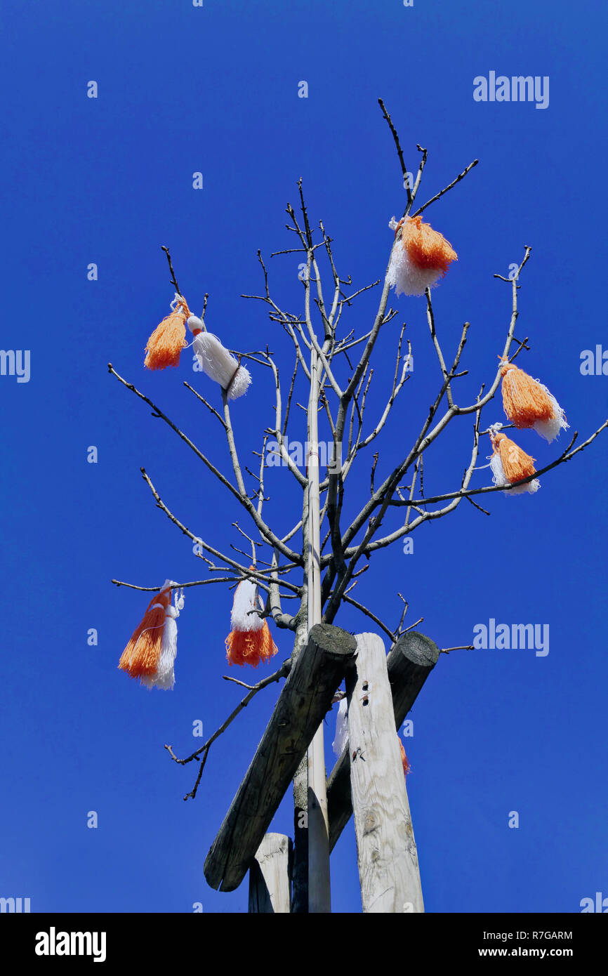 Martenitsa hanging on a tree in Sofia, Bulgaria. On the 1st Bulgarians ...