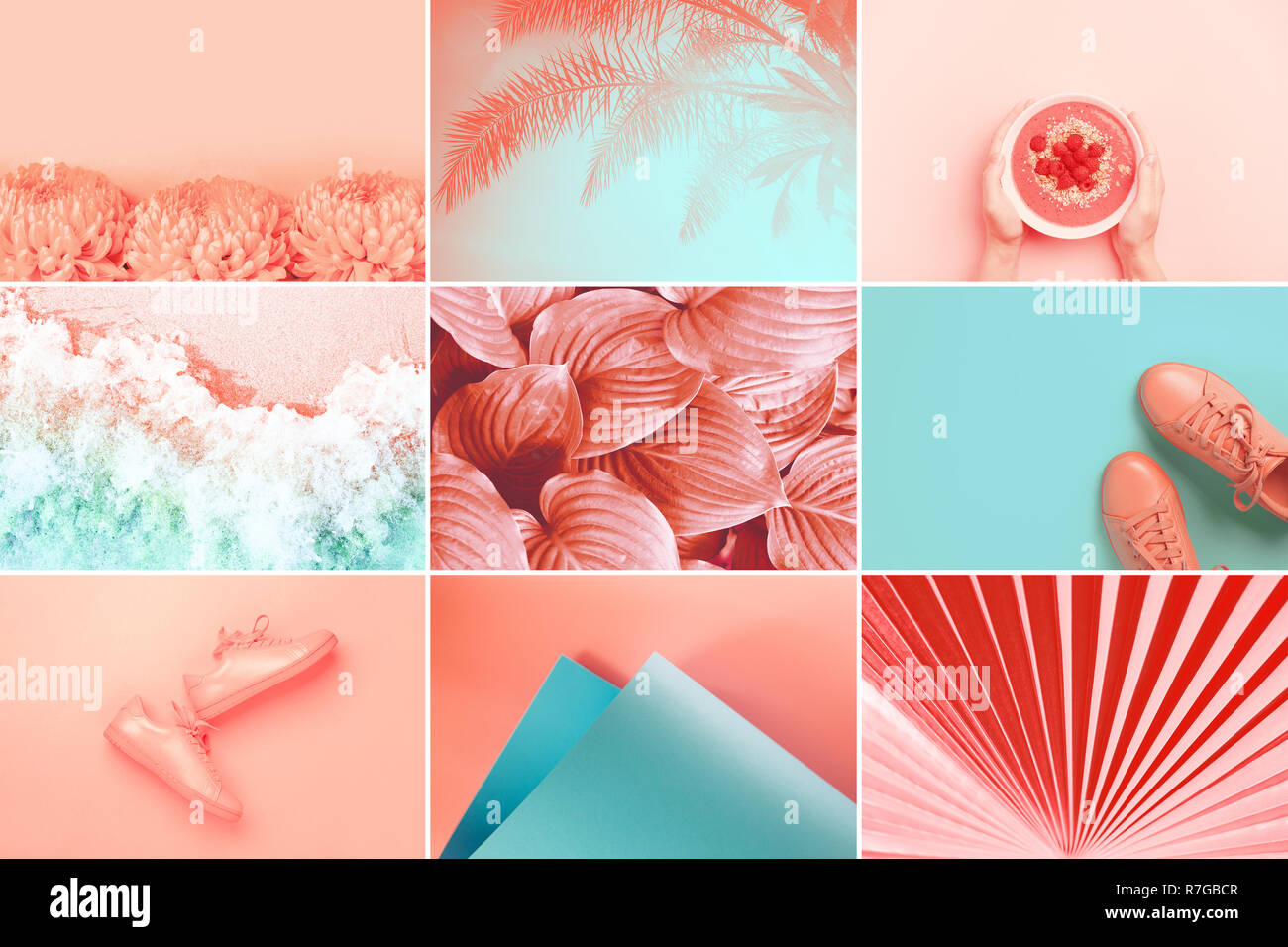 Collage made of nine photos in trendy living coral color. Trendy color ...