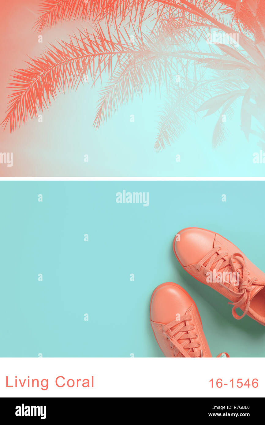 Collage made of two photos in trendy living coral color. Trendy color ...