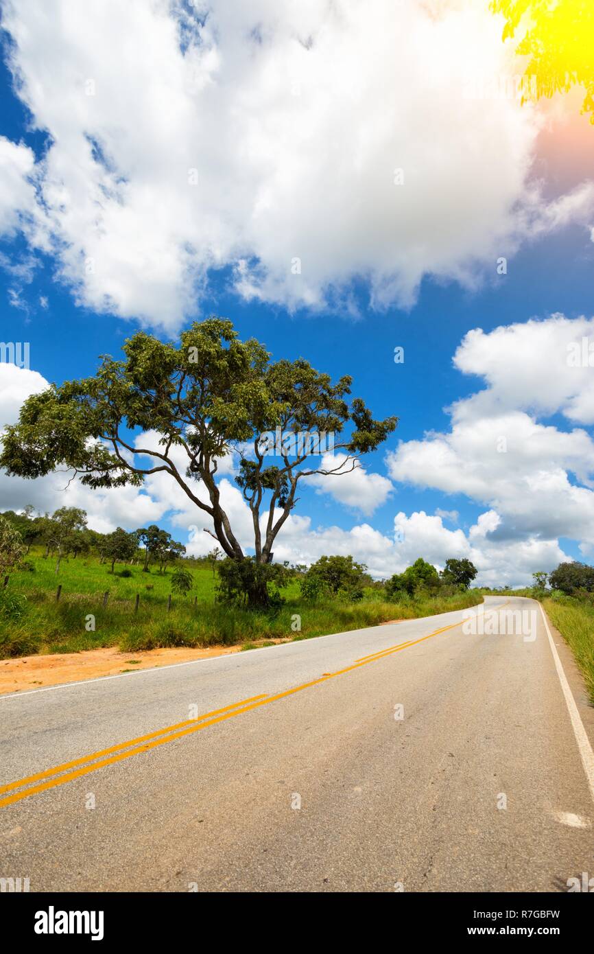 traditional tropical road Brasilia, Brazil Stock Photo - Alamy