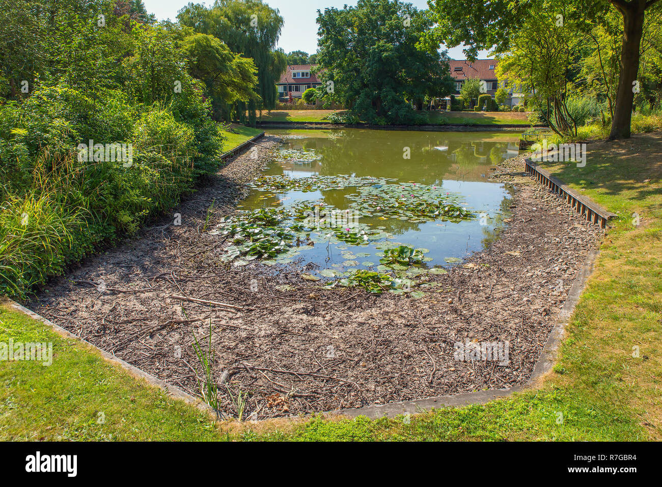 Drying dutch city pond in summer time Stock Photo - Alamy