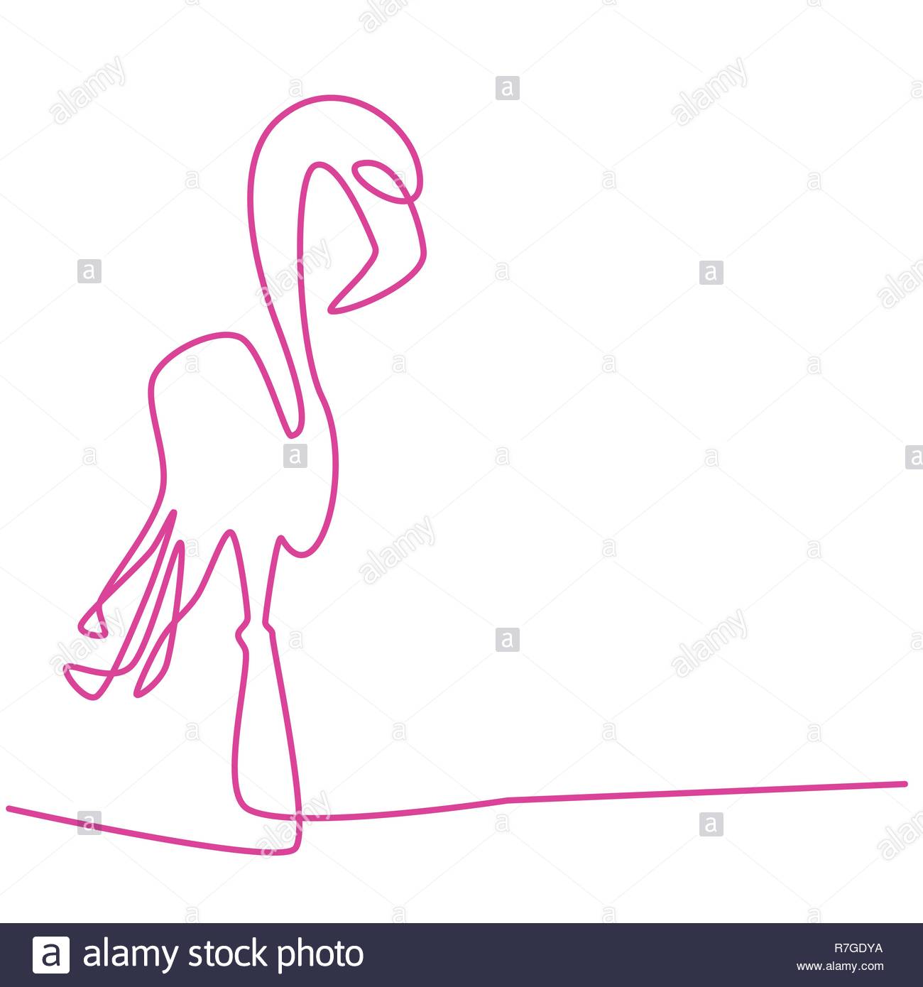 Pink Flamingo Line Drawing Stock Photos & Pink Flamingo Line Drawing ...