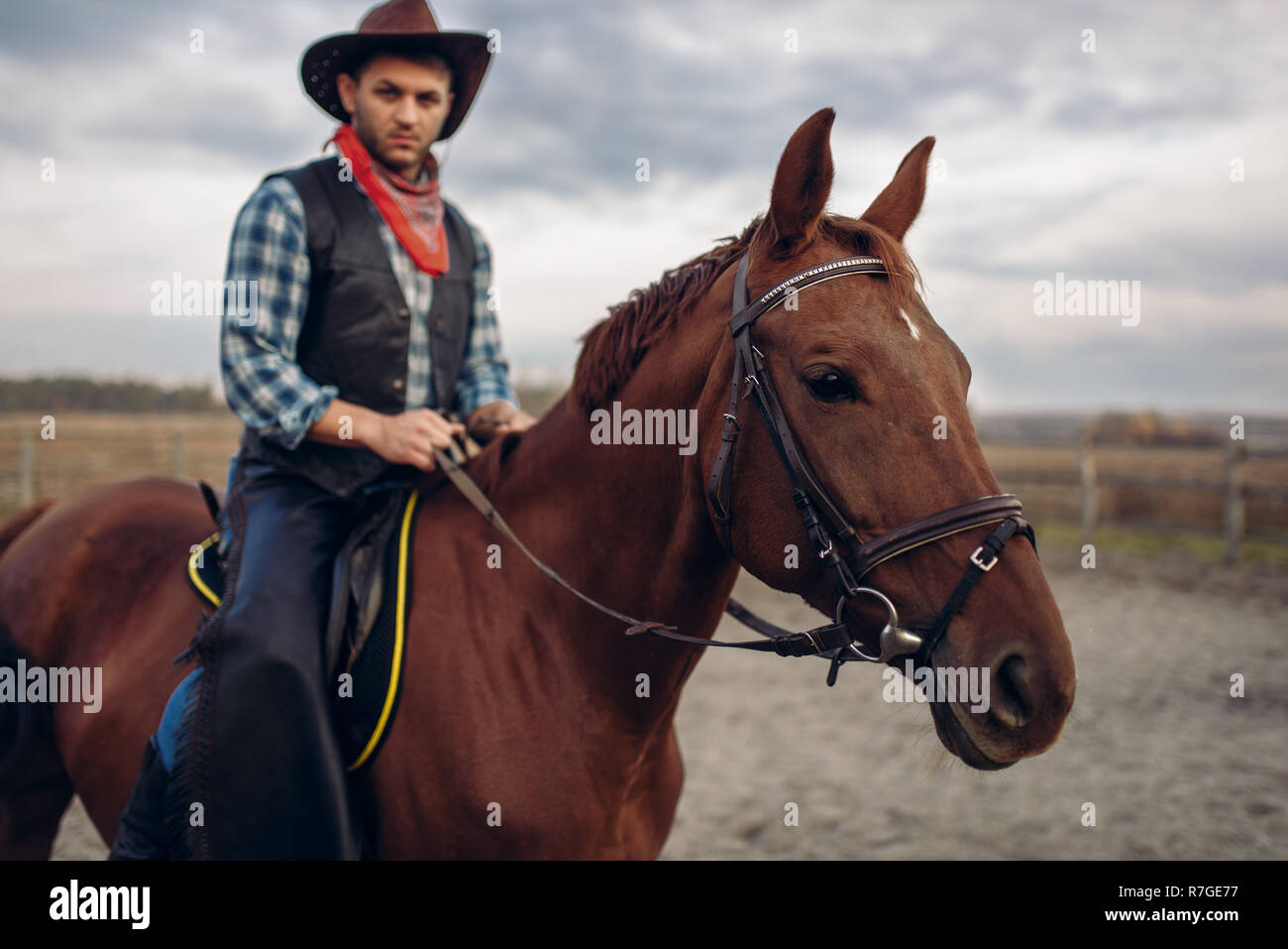 Cowboy riding a horse in desert valley, western. Vintage male person on ...