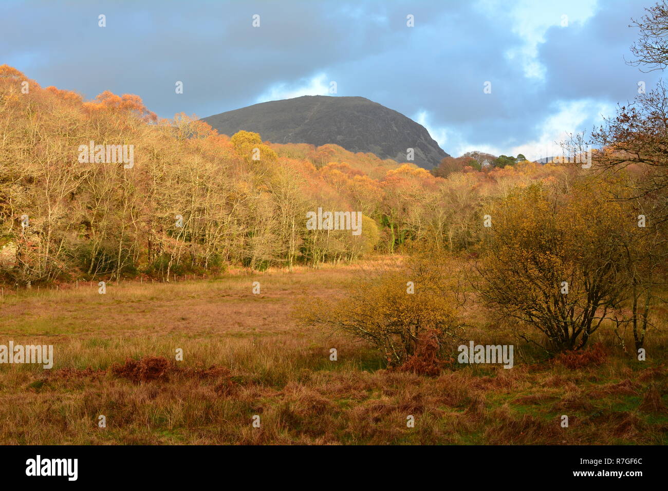 Glaslyn gwynedd autumn colours hi-res stock photography and images - Alamy