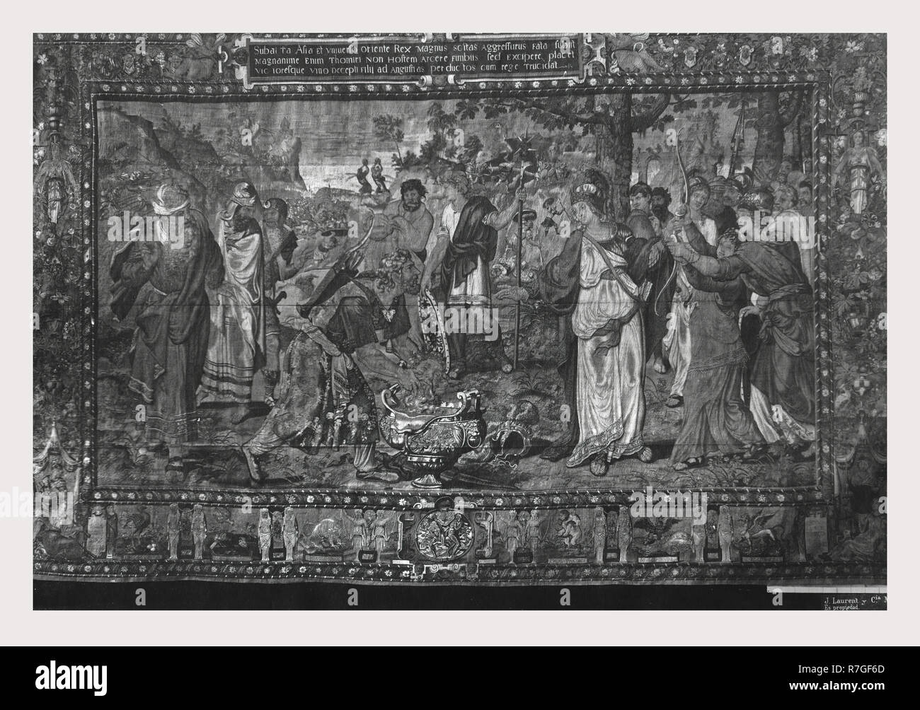 Cyrus head plunged hi-res stock photography and images - Alamy