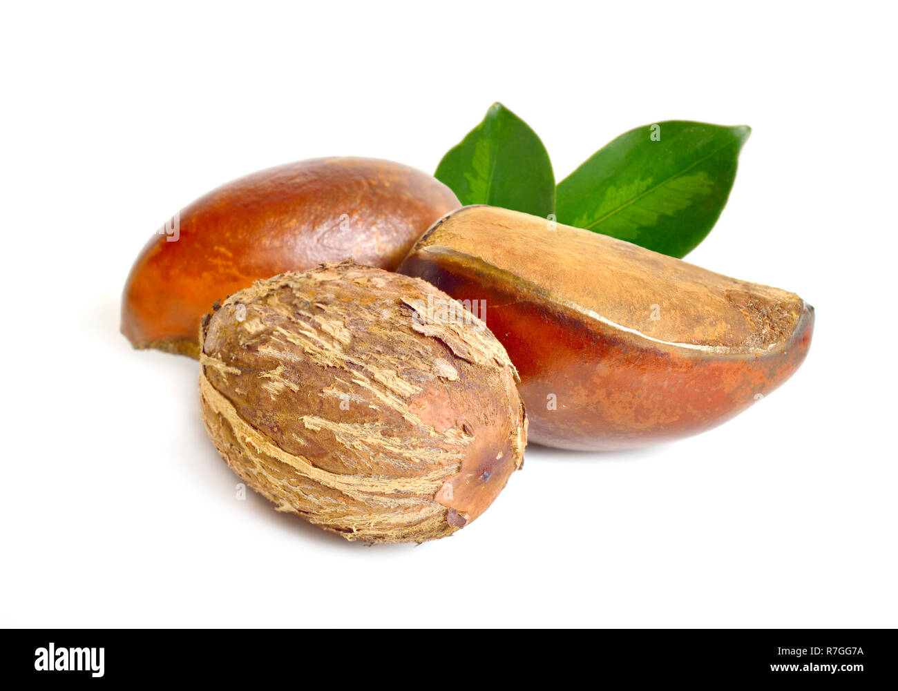 Shea fruit hi-res stock photography and images - Alamy