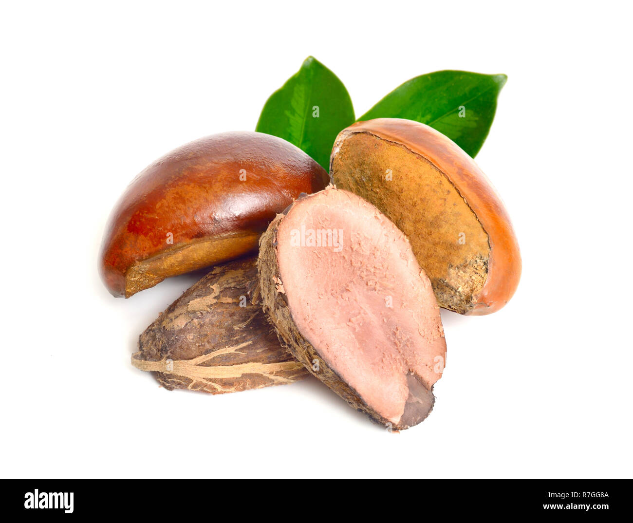 Shea butter nuts or karite fruit. Isolated on white background Stock ...