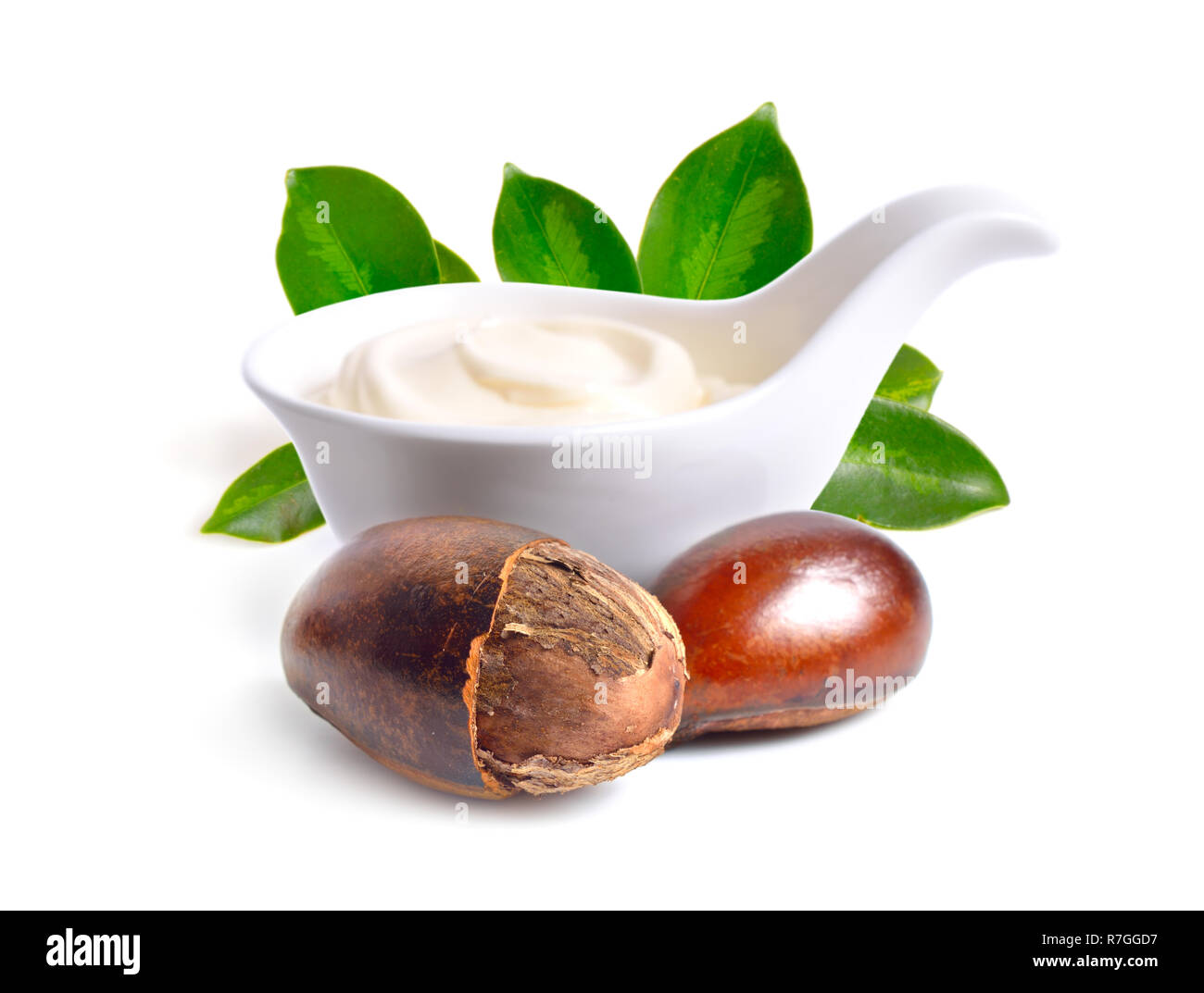 Shea nuts with butter or cream in the bowl. Isolated on white ...