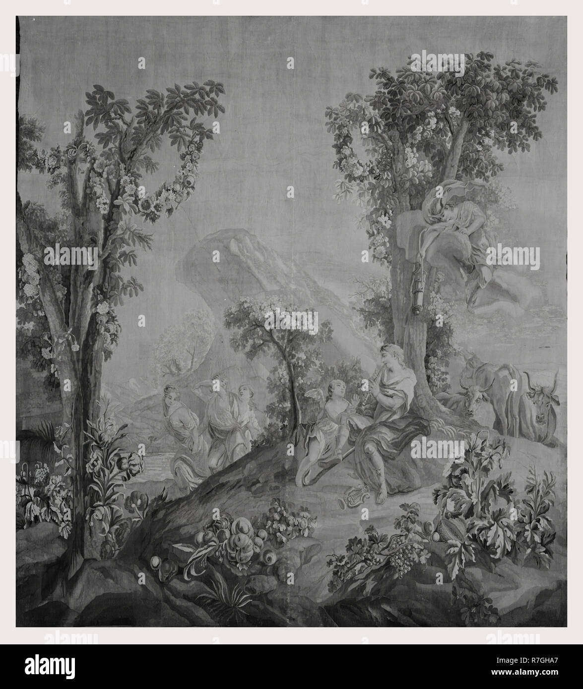 Apollos Cattle High Resolution Stock Photography and Images - Alamy