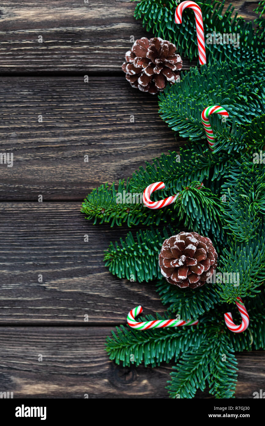 Christmas tree branches close up photo toned Stock Photo - Alamy