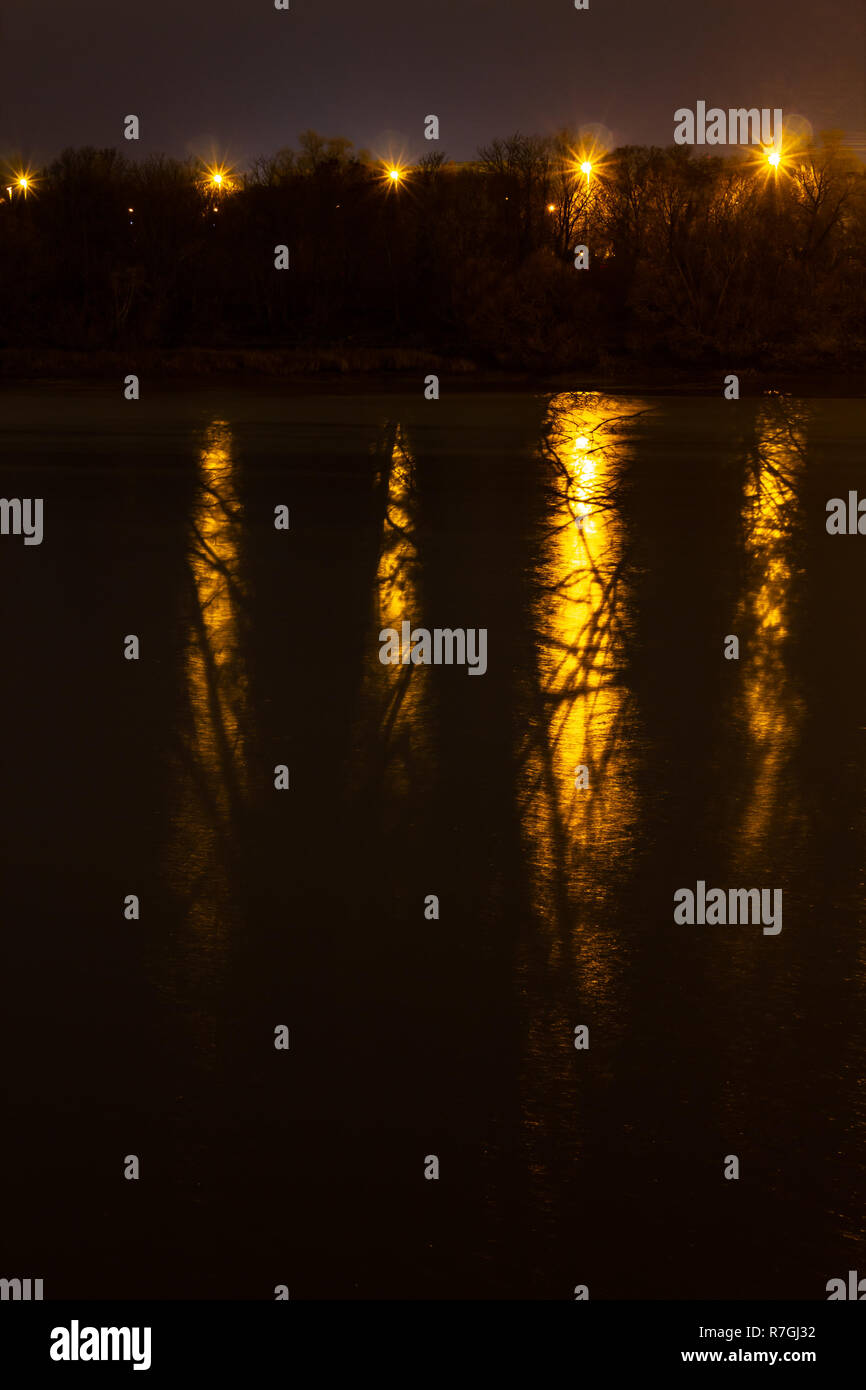 Tree shadows at night in Shannon river, Limerick, Ireland Stock Photo ...
