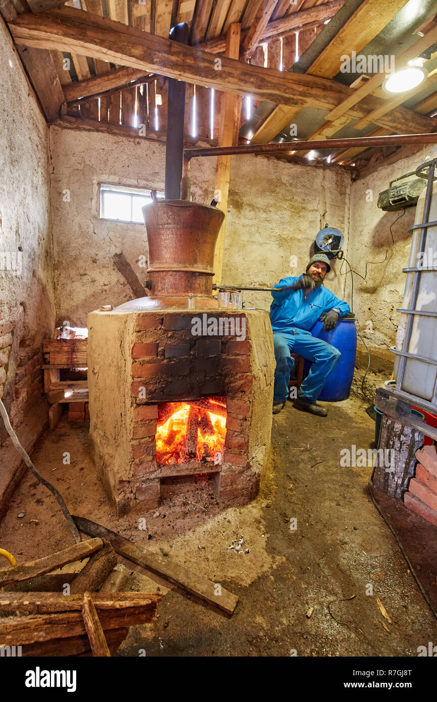 Man preparing plum brandy through boiling and condensation of fruits ...