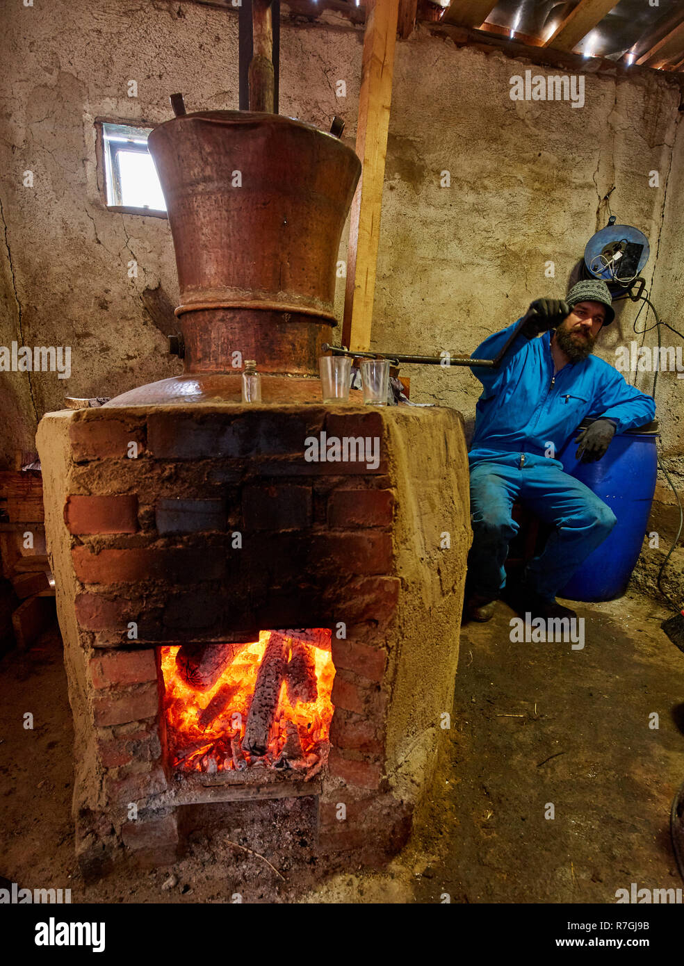 Man preparing plum brandy through boiling and condensation of fruits ...