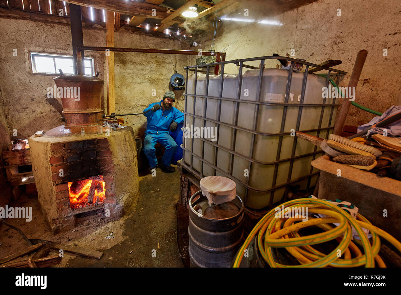 Man preparing plum brandy through boiling and condensation of fruits ...