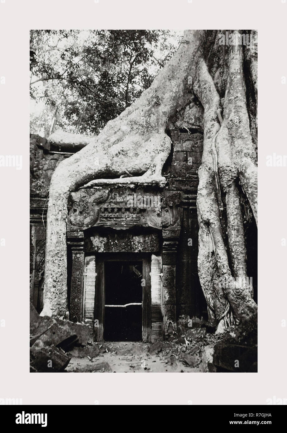 Cambodia, Angkor, Ta Prohm, 1966 or earlier, Lost Cities of Asia ...