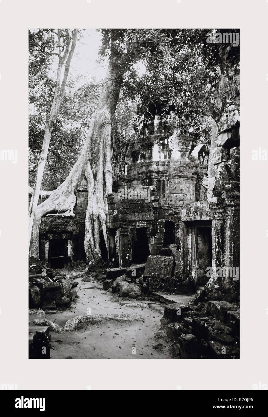 Cambodia, Angkor, Ta Prohm, 1966 or earlier, Lost Cities of Asia ...