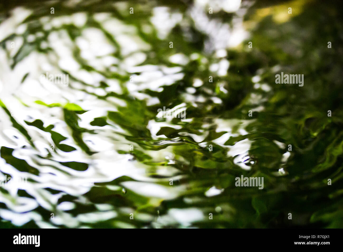 Fish tank water ripple and bubbles Stock Photo - Alamy