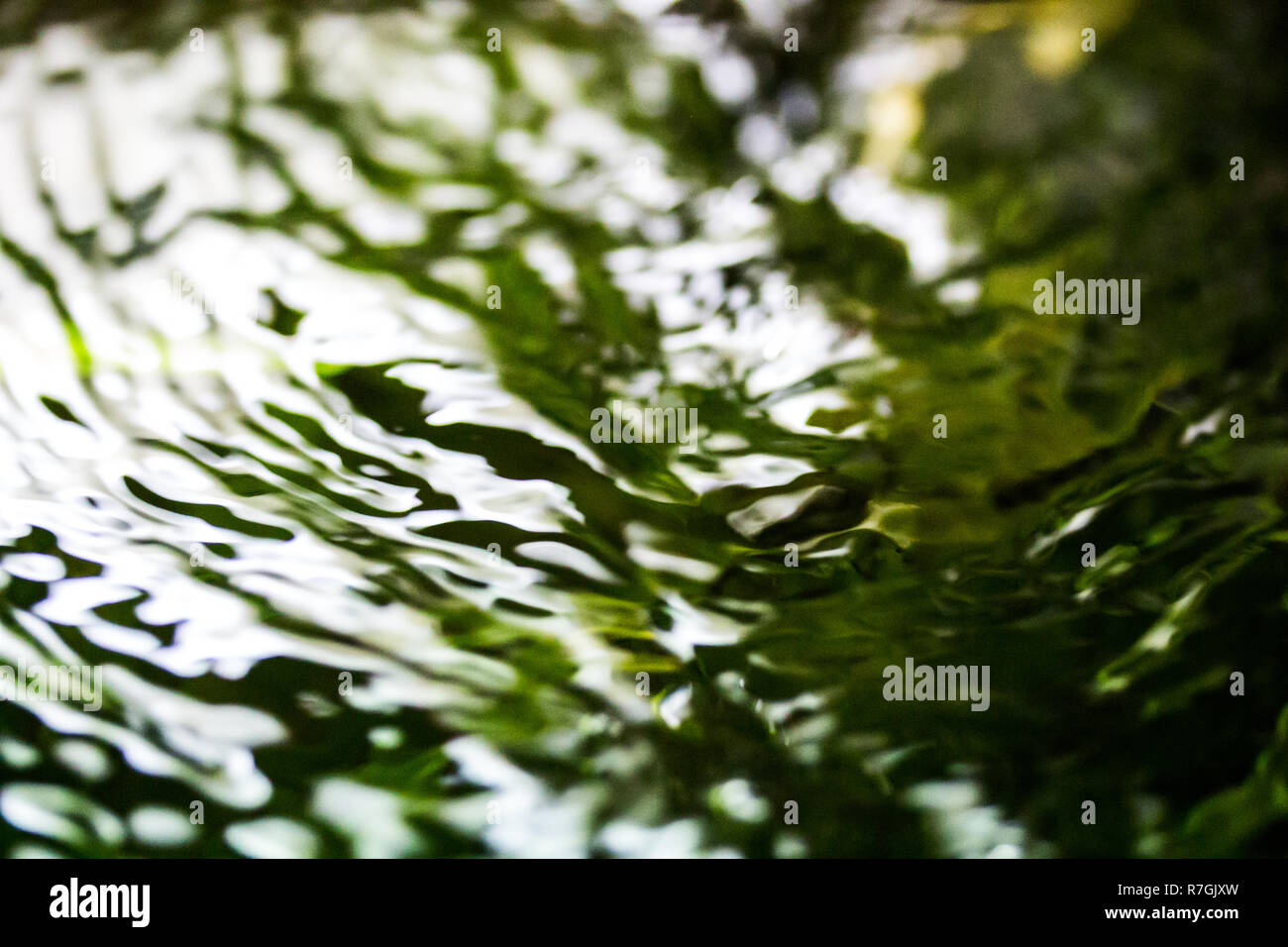 Ripple tank hi-res stock photography and images - Alamy