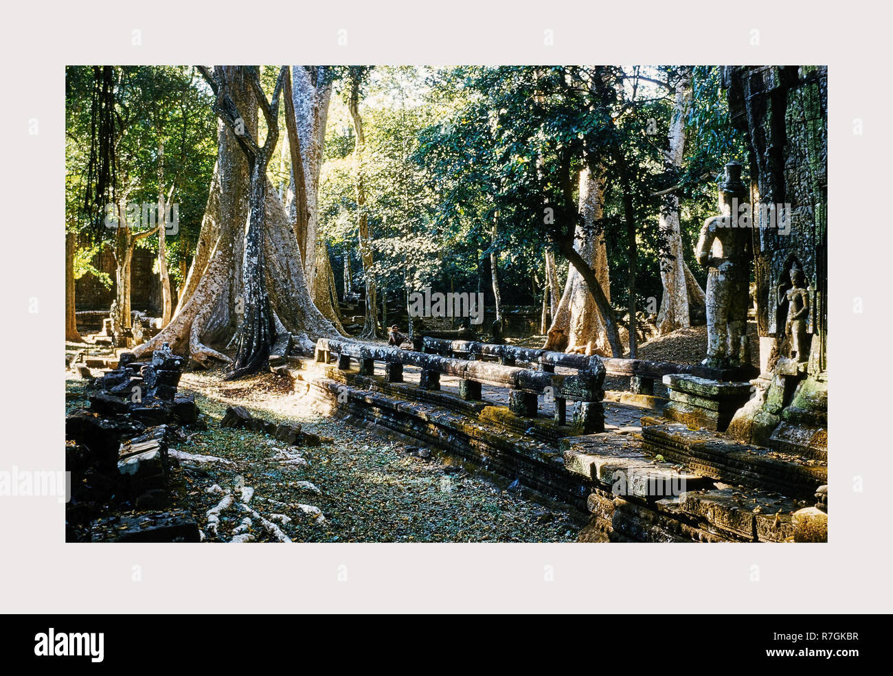 Cambodia, Angkor, Ta Prohm, 1966 or earlier, Lost Cities of Asia ...