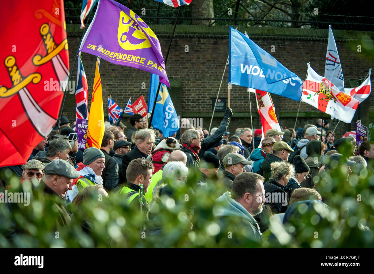 Canine defence league hi-res stock photography and images - Alamy