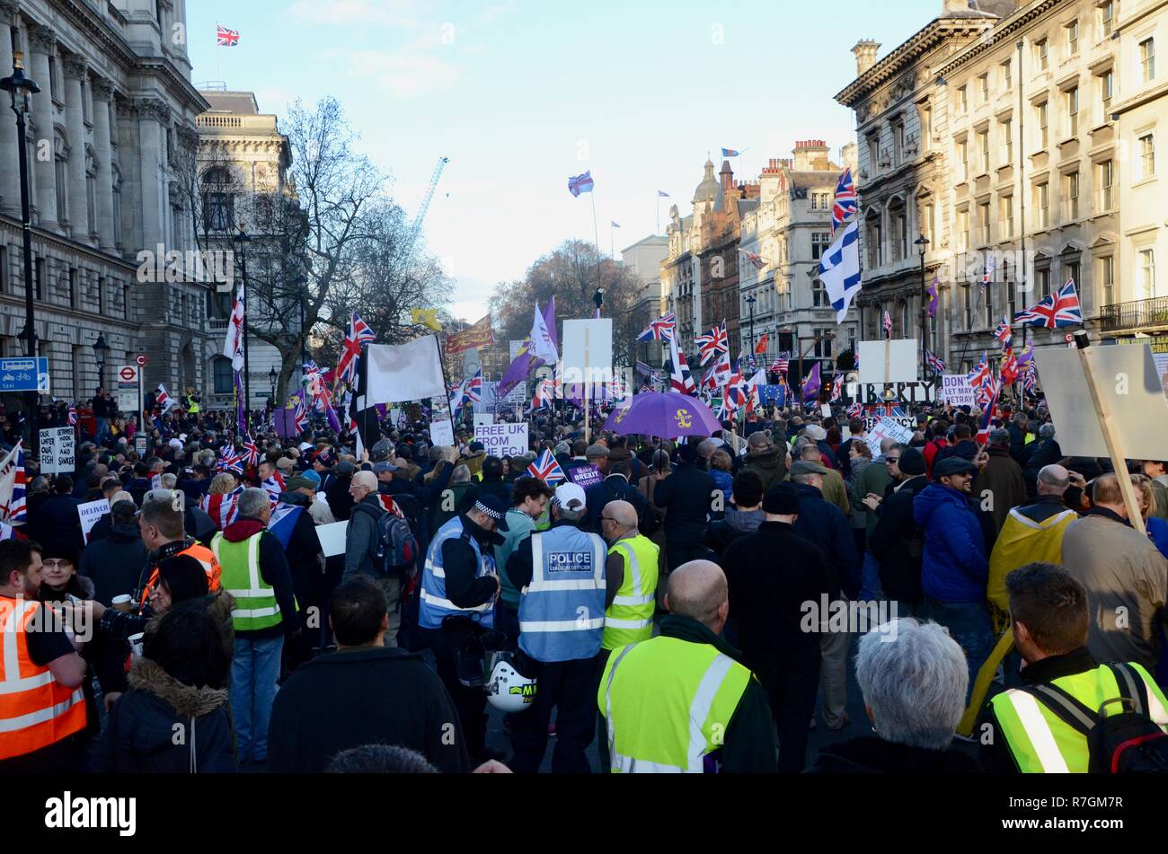 Brexit betrayal UKIP march with tommy robinson in central london 9th ...
