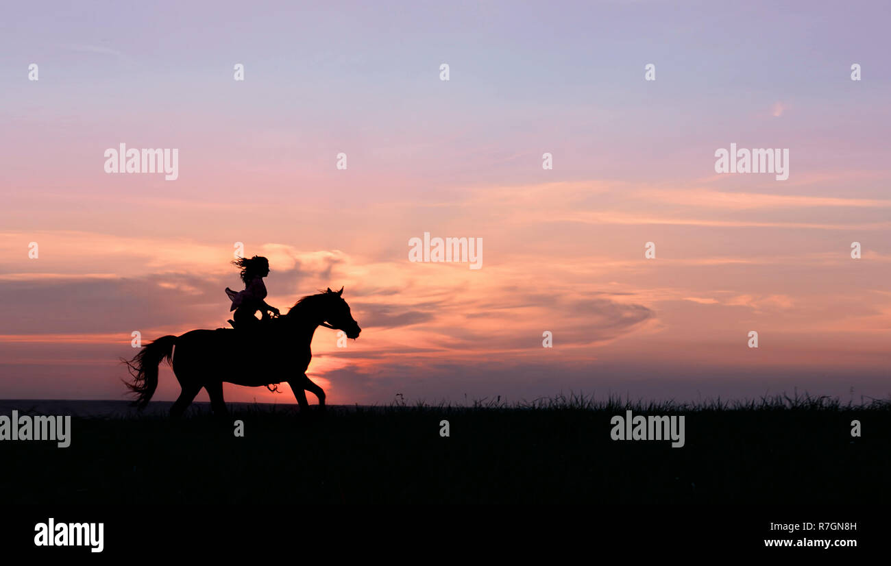 Female Horse Rider Silhouettes